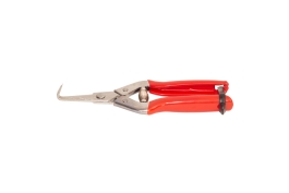 DRAGON FRUIT SHEAR